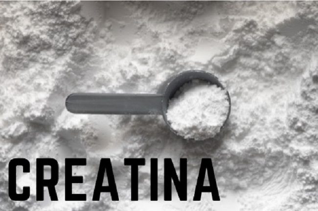 Como tomar creatina: Guia completo para resultados incríveis