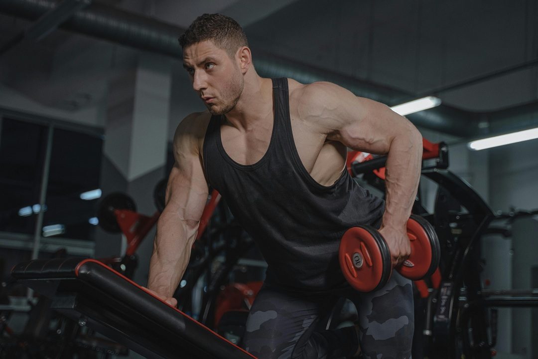 Supino De Triceps Com Halteres Sentado Acima Da Cabeca